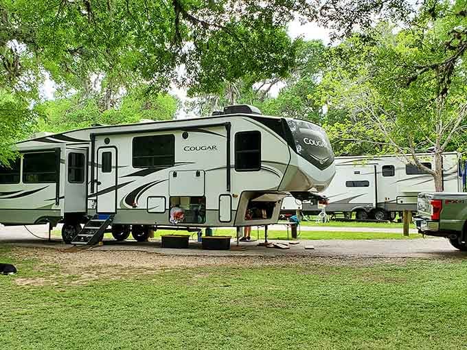 RV camping here means enjoying modern comforts while still being surrounded by trees older than your great-grandparents.