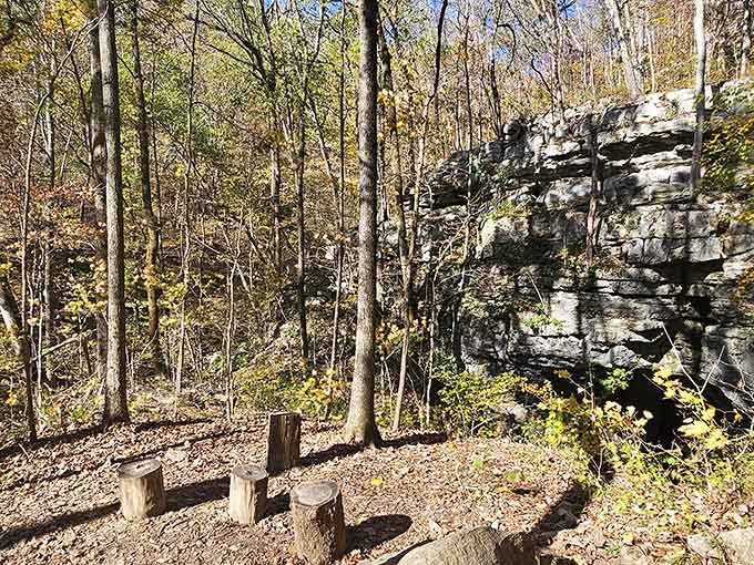 The forest above ground is just nature's way of softening you up before the main event below.