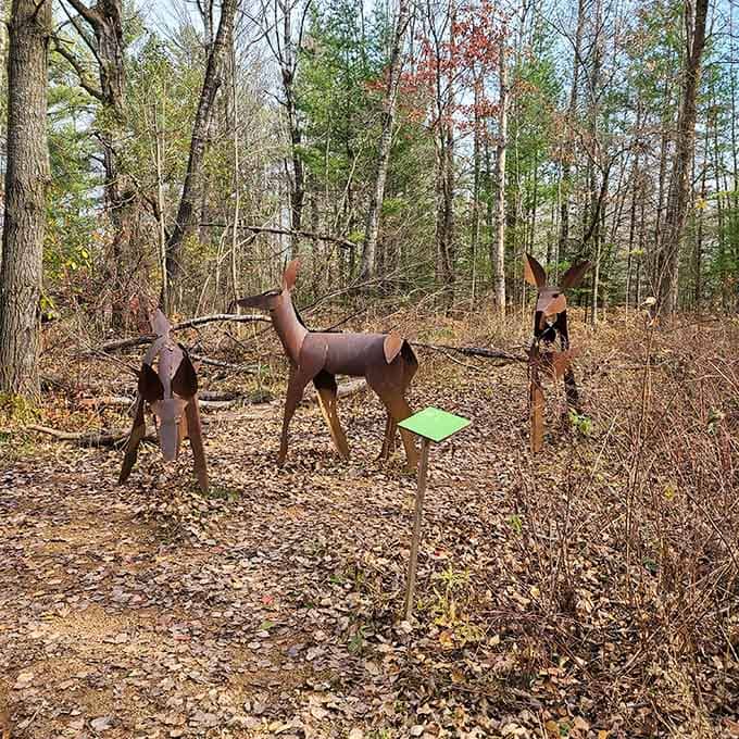 Metal deer family gathering proves that even wildlife appreciates good art when they see it in person.