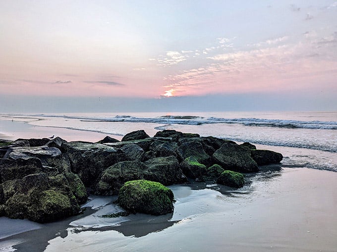 Dawn breaks over these rocks like the ocean's own private art gallery opening just for you.
