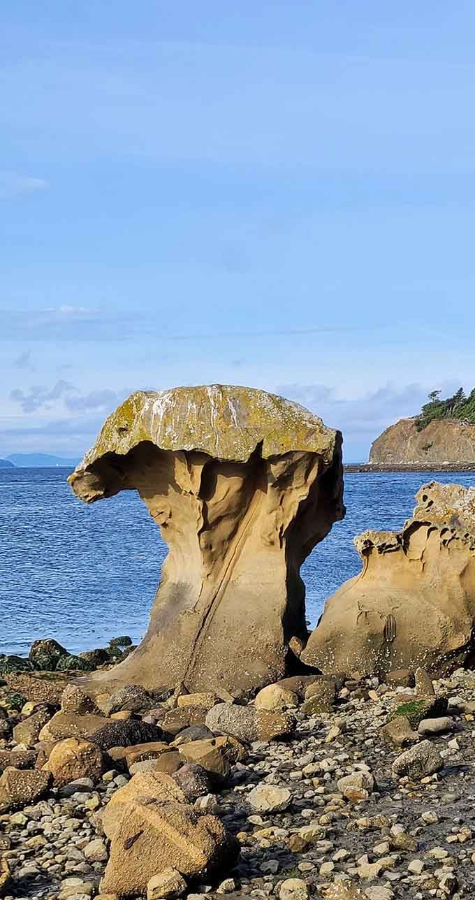 This mushroom-shaped rock formation has been standing here longer than anyone's been complaining about gas prices or weather.