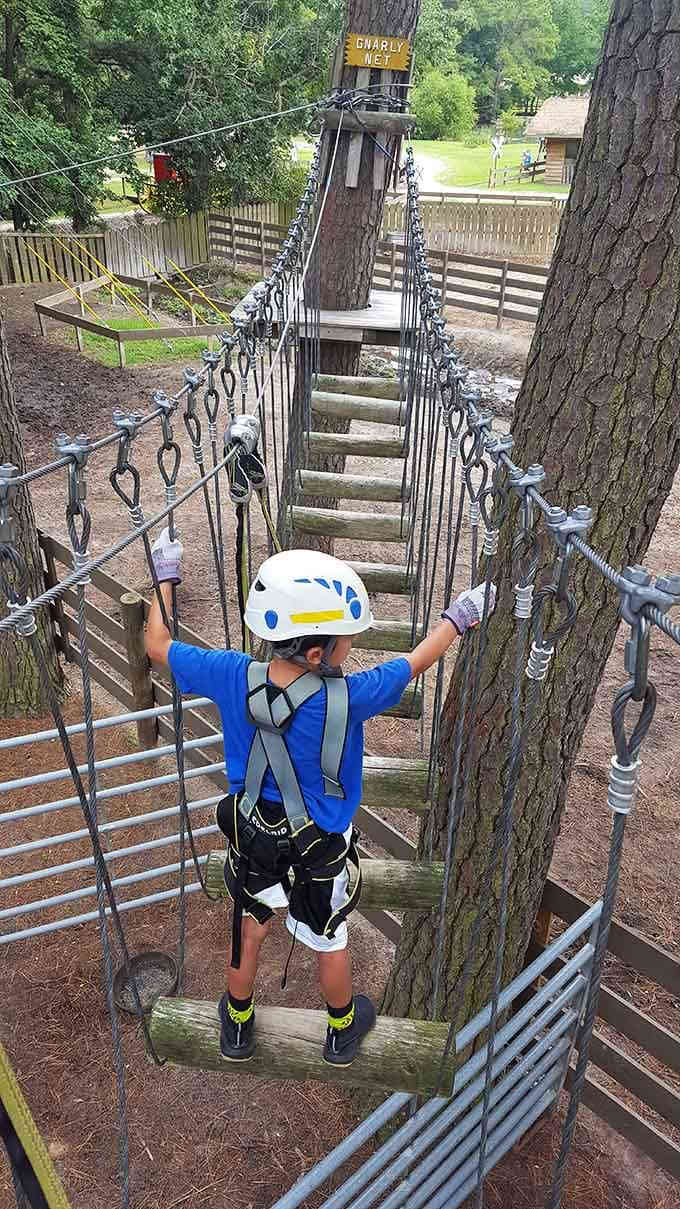Aerial adventure courses let kids channel their inner outlaw while safely harnessed among the trees.