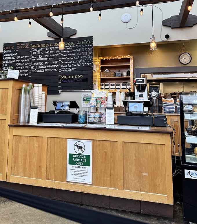 Behind this counter lies the command center of deliciousness, where your breakfast dreams become beautifully plated reality every morning.