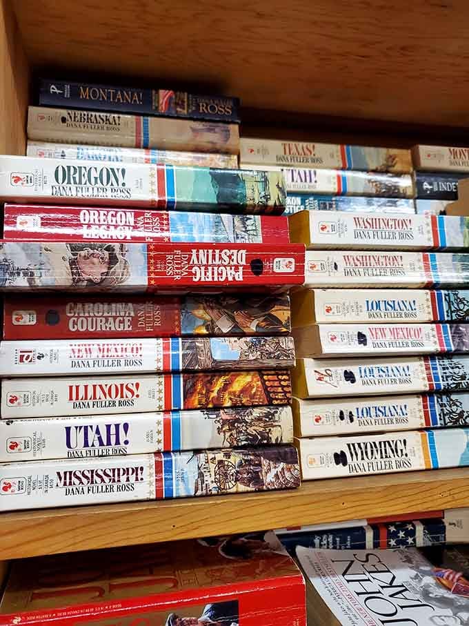 State-by-state travel guides stacked like a road trip waiting to happen, minus the gas money and questionable rest stops.
