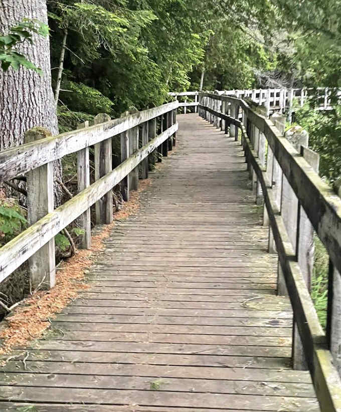 This boardwalk leads you through the forest like a wooden highway to waterfall paradise and photo opportunities galore.