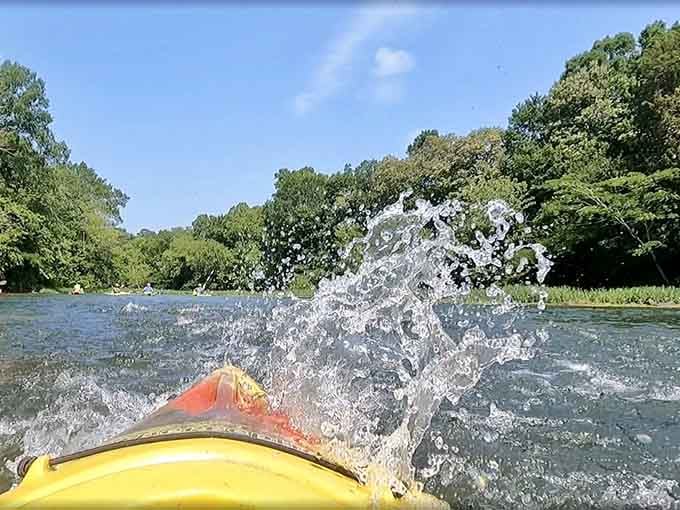 Nothing says adventure quite like a face full of refreshing creek water on a hot day.