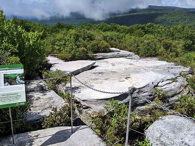The overlook reveals sweeping mountain vistas that remind you why Virginia is absolutely stunning year-round.