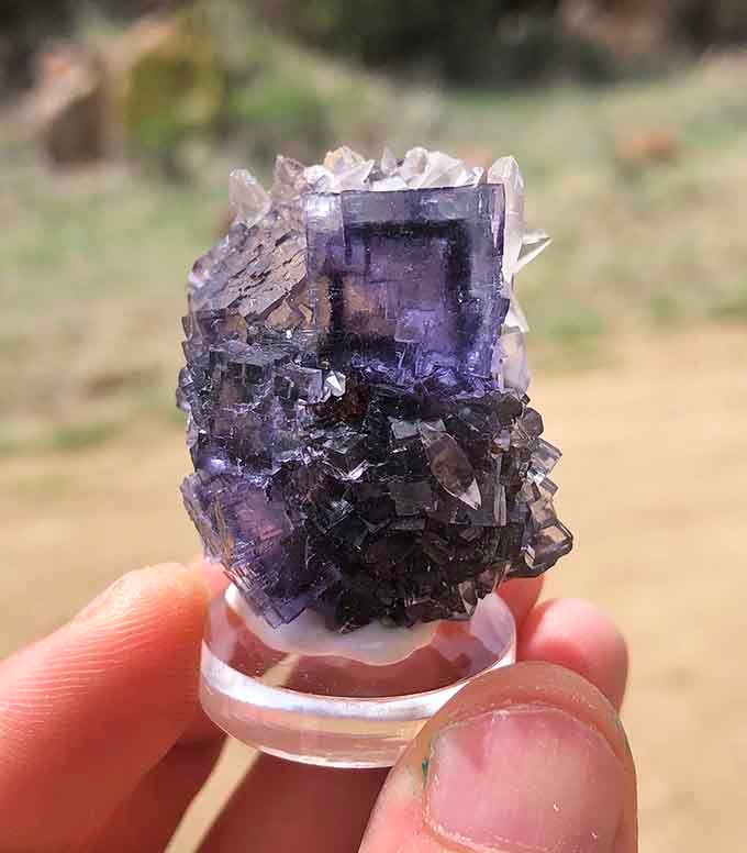 This purple crystal cluster catches light like a tiny cave made entirely of amethyst, nature's own cathedral.