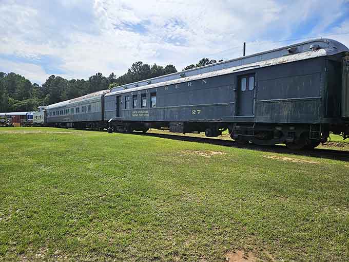 Vintage passenger cars lined up like they're waiting for their close-up, which they absolutely deserve.