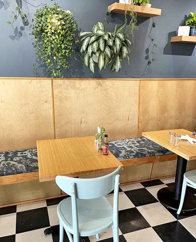 Cozy booth seating beneath trailing plants makes every meal feel like a mini escape from the everyday Virginia Beach routine.