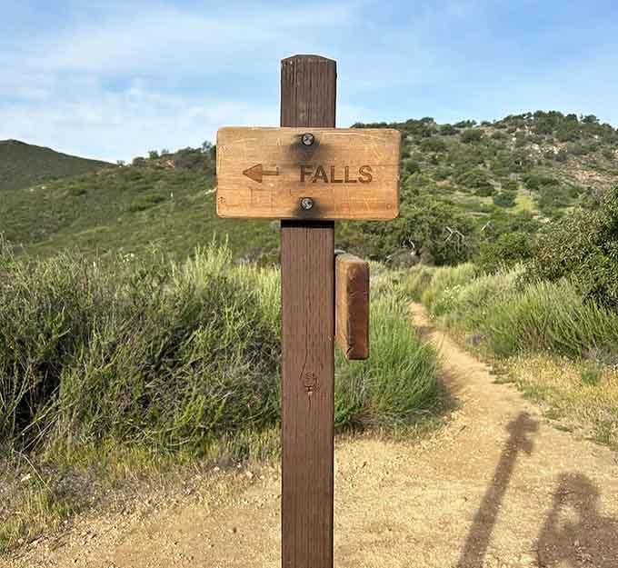 Simple wooden signs pointing toward liquid paradise, because sometimes the best destinations need only one word: Falls.