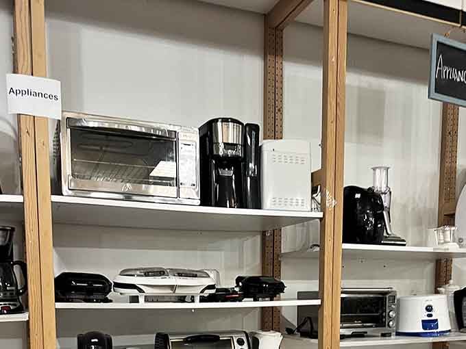Small appliances waiting patiently to brew, blend, and toast their way into your kitchen routine once more.