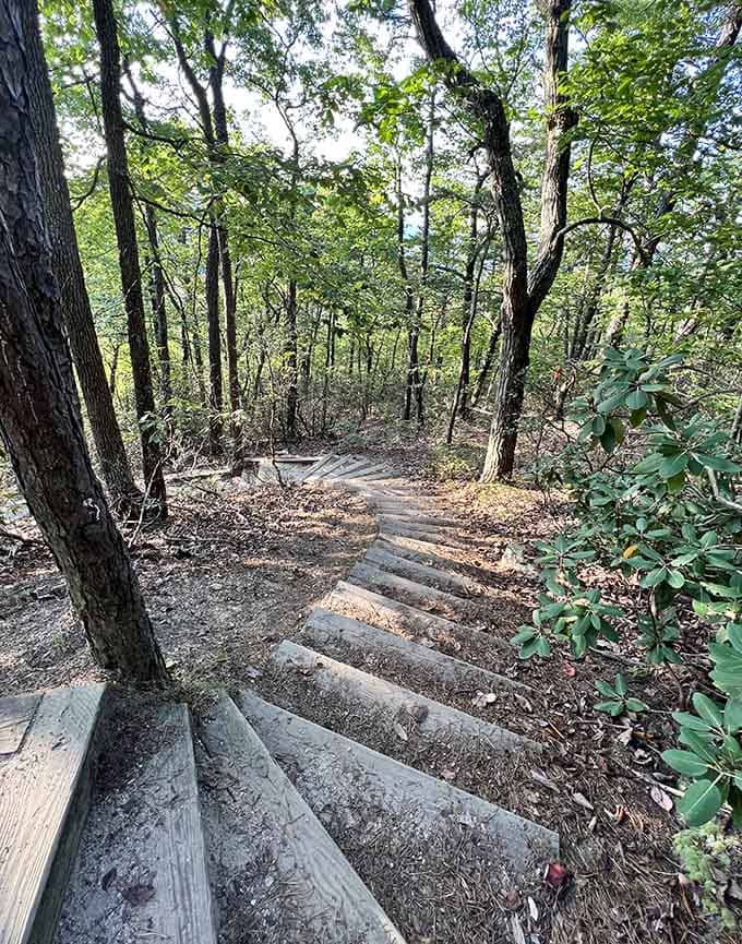 More thoughtfully placed steps make the trail accessible without sacrificing that authentic wilderness feeling you're seeking.