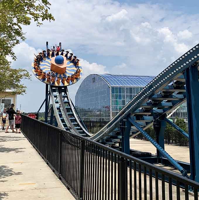 The Disk'O spins and tilts like your stomach after realizing you ate before riding, which was definitely not the smartest move.