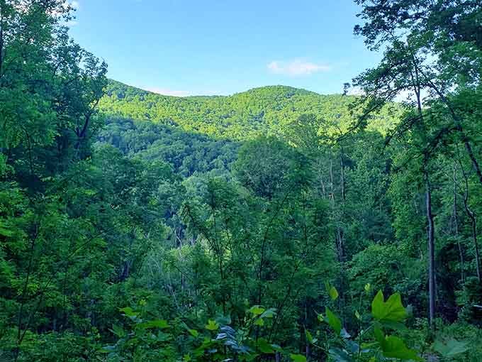 Norman Wilder Forest provides the kind of mountain scenery that makes your phone's camera roll suddenly very, very full.