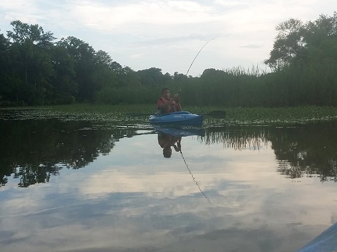 When your fishing rod bends like that, you know dinner just got a whole lot more interesting.
