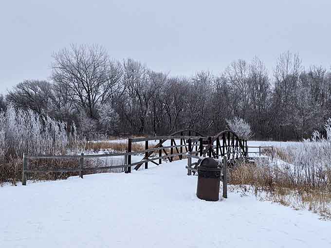 Winter transforms the preserve into a snow globe you can actually walk through and enjoy.