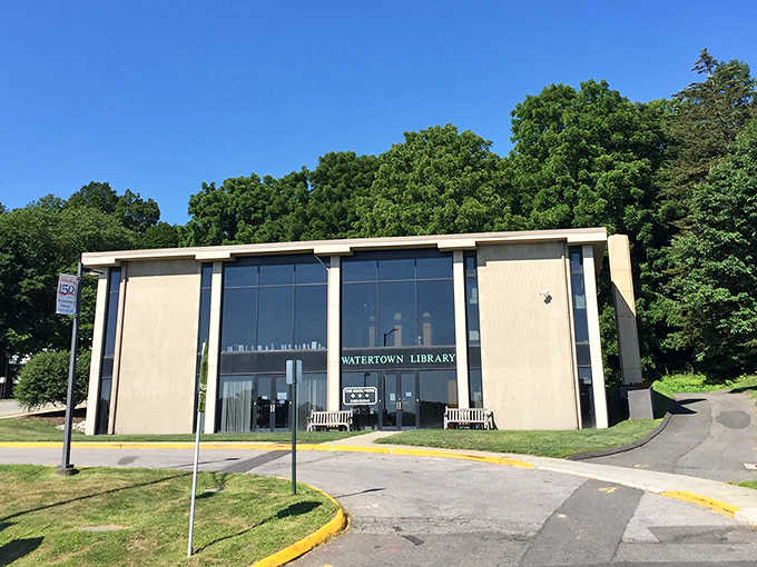 Public libraries offering resources and community space because knowledge shouldn't require a subscription fee or paywall.