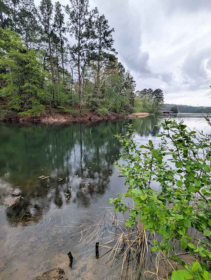 The still water reflects trees so perfectly you might need a moment to figure out which way is up.
