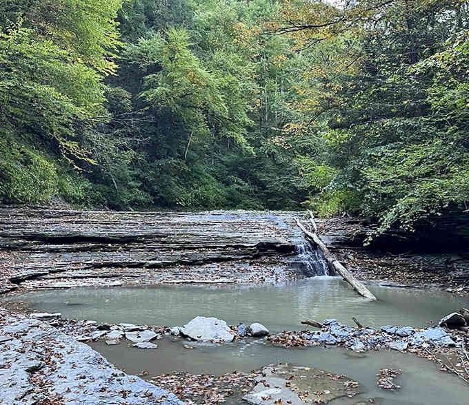 The creek bed reveals its rocky personality, each stone placed by time and water's patient artistry.
