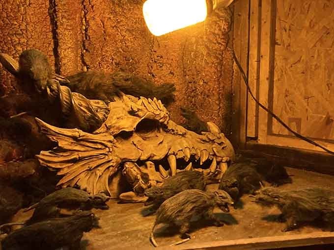 Even the dragon skeletons get dramatic lighting, because atmosphere matters when you're building a fantasy world.