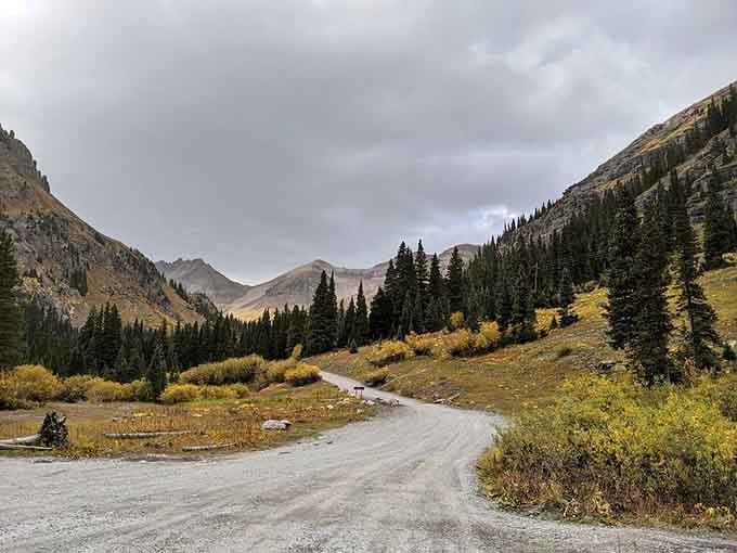Autumn transforms the access road into a golden tunnel, offering seasonal beauty beyond summer's famous blooms.