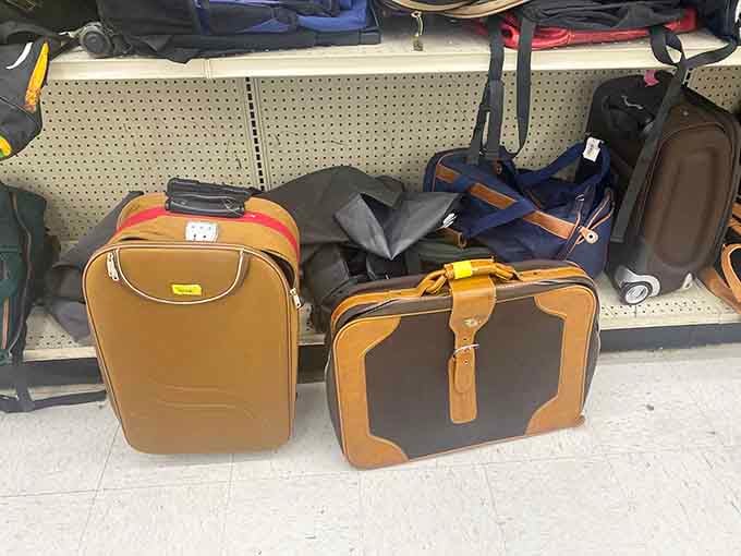 Vintage suitcases ready for adventures, because travel gear shouldn't cost more than the actual vacation.