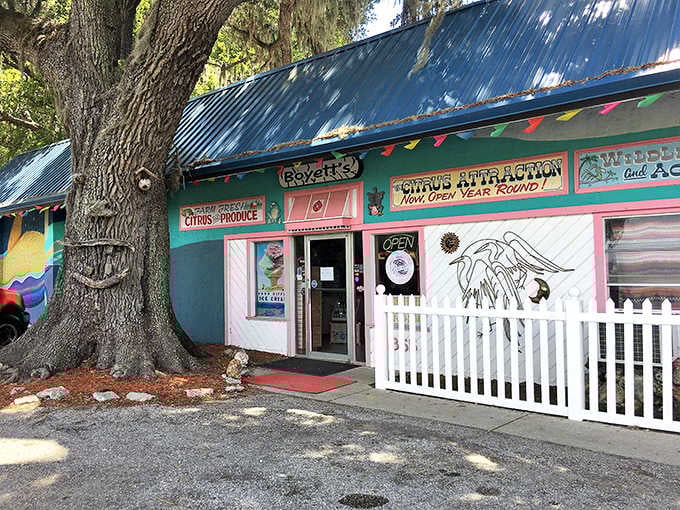 The pink buildings and quirky folk art scattered around this citrus grove prove that Florida's weirdness grows on trees.