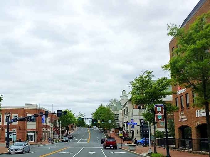 Tree-lined streets slope gently downward, drawing your eye toward that distinctive clock tower standing proud and tall.