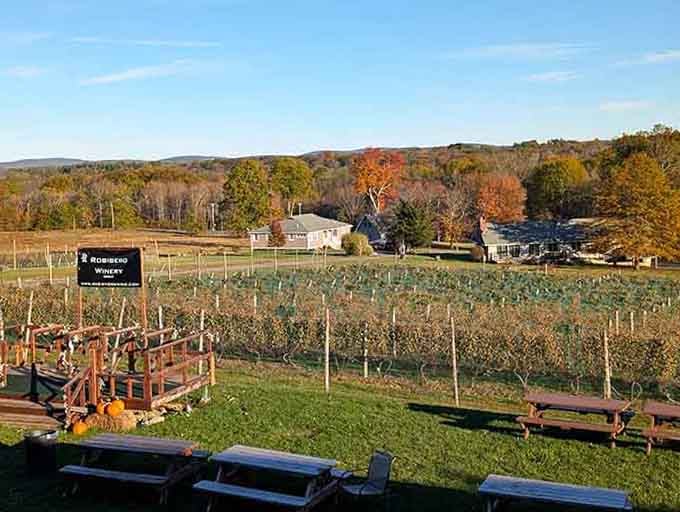 Autumn transforms the vineyard into a tapestry of warm colors that practically beg for a camera.