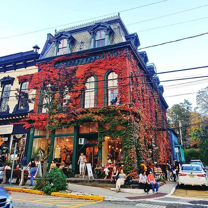 Autumn ivy blazing red against brick walls &ndash; Mother Nature showing off her decorating skills again.