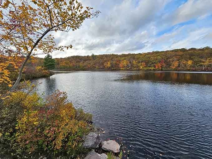 Autumn paints the shoreline in warm hues, reflecting perfectly on still waters that could grace any postcard.