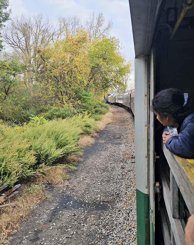Leaning out from the open-air car, you'll feel the breeze and catch views you simply can't get indoors.