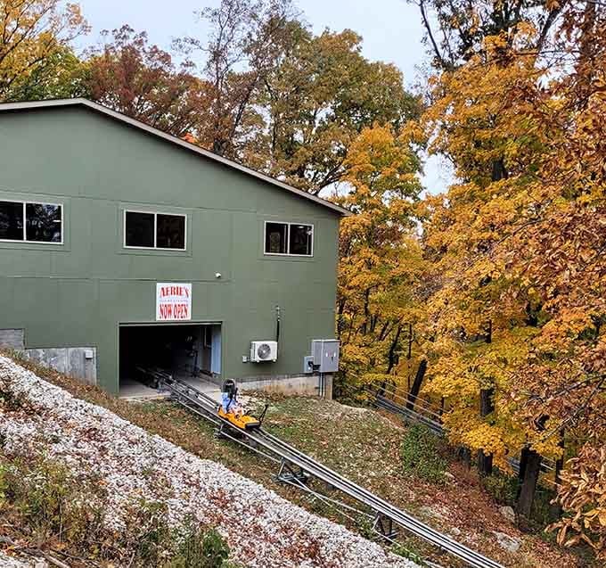 Autumn leaves frame the alpine coaster descent, adding seasonal color to gravity-powered thrills down the hillside.