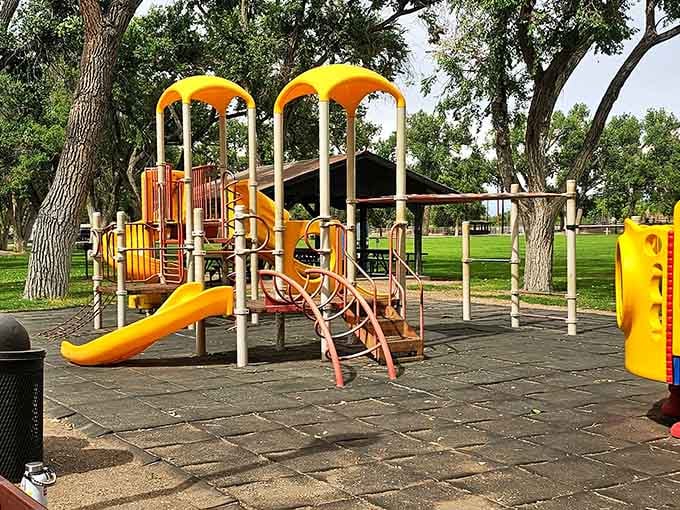 Cole Park's playground equipment and mature trees create neighborhood gathering spots where kids play and parents actually relax.