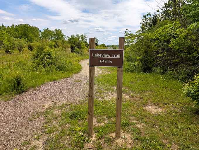 The Lakeview Trail promises scenic strolls where nature's beauty unfolds with every step along that quarter-mile path.