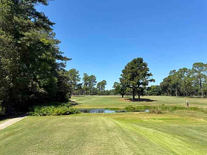 Griffin Bell Golf Course stretches out under Georgia skies, inviting golfers to enjoy a relaxing round today.