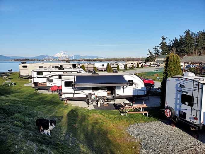 RV parks with million-dollar views prove you don't need a mansion to wake up to spectacular scenery.