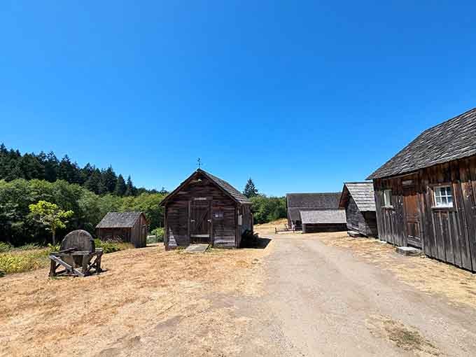 Historic island buildings preserving stories from simpler times, when traffic jams meant waiting for a deer to cross.