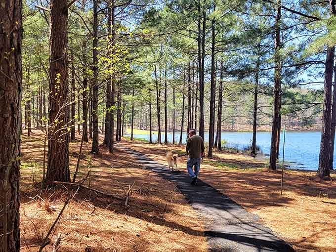 Lake Yahou Park Trail Head invites you into nature without requiring mountaineering equipment or survival training.