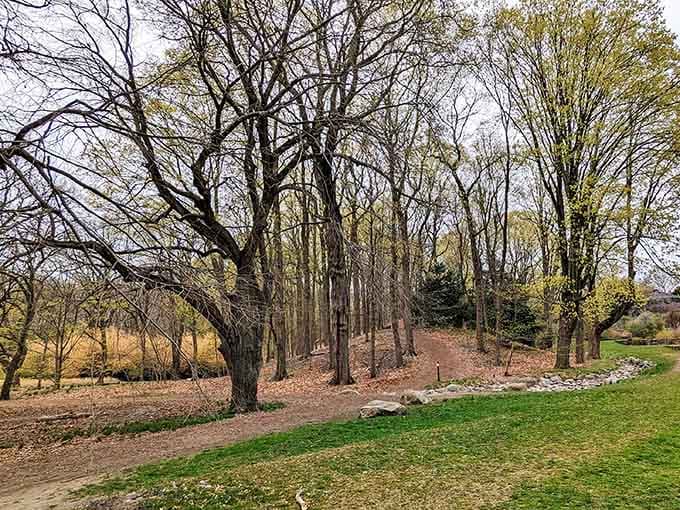 Bare winter trees reveal the elegant architecture of branches that summer leaves usually hide from view.