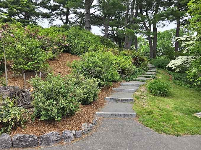 Stone steps wind upward through greenery, proving that the journey really is just as rewarding as the destination.
