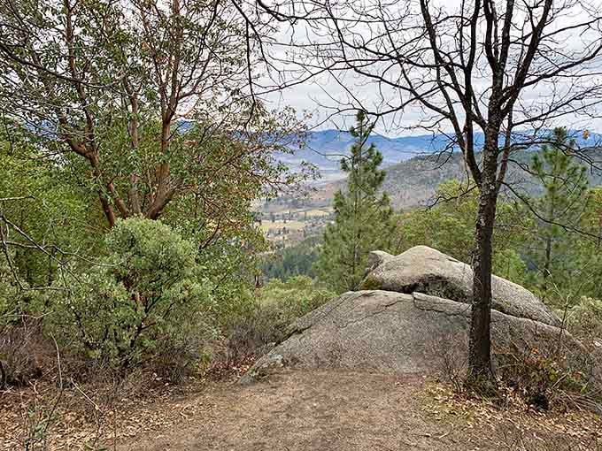 Oredson Todd Woods offers trails where the only traffic jam involves squirrels and the occasional deer.