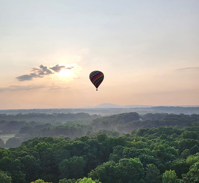 Morning mist rolling through the valleys below creates a landscape that belongs on a postcard you'd actually want to send.