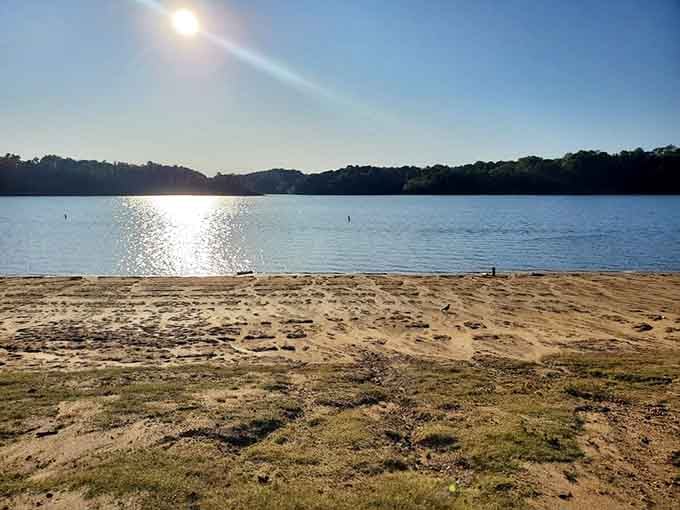 Morning light sparkles across sand and water, creating that vacation feeling without the vacation price tag.