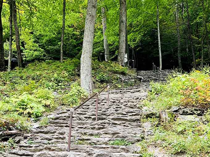 Stone steps lead upward through the forest, each one bringing you closer to spectacular mountain vistas.