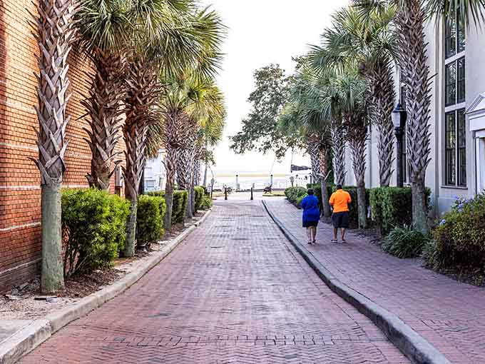 Palm-lined pathways lead toward the water where morning joggers and evening strollers share the same peaceful destination.