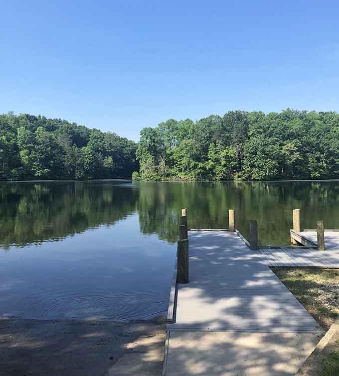 A sturdy wooden dock stretches toward tranquil waters, beckoning anglers and daydreamers alike to come test the fishing.