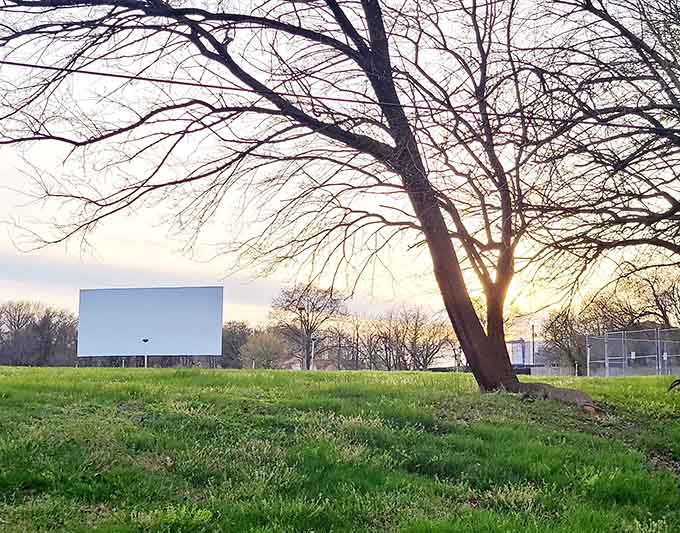 The open field and towering screen create a natural amphitheater that no indoor venue could ever replicate.