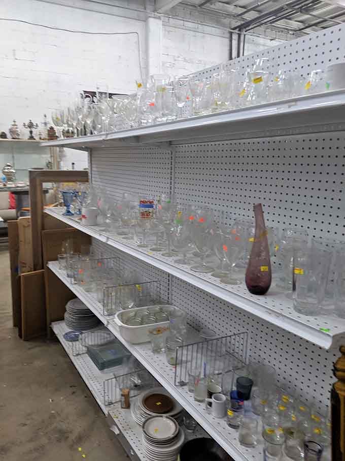 Glassware glistening on shelves, each piece ready to elevate your next dinner party or casual Tuesday.